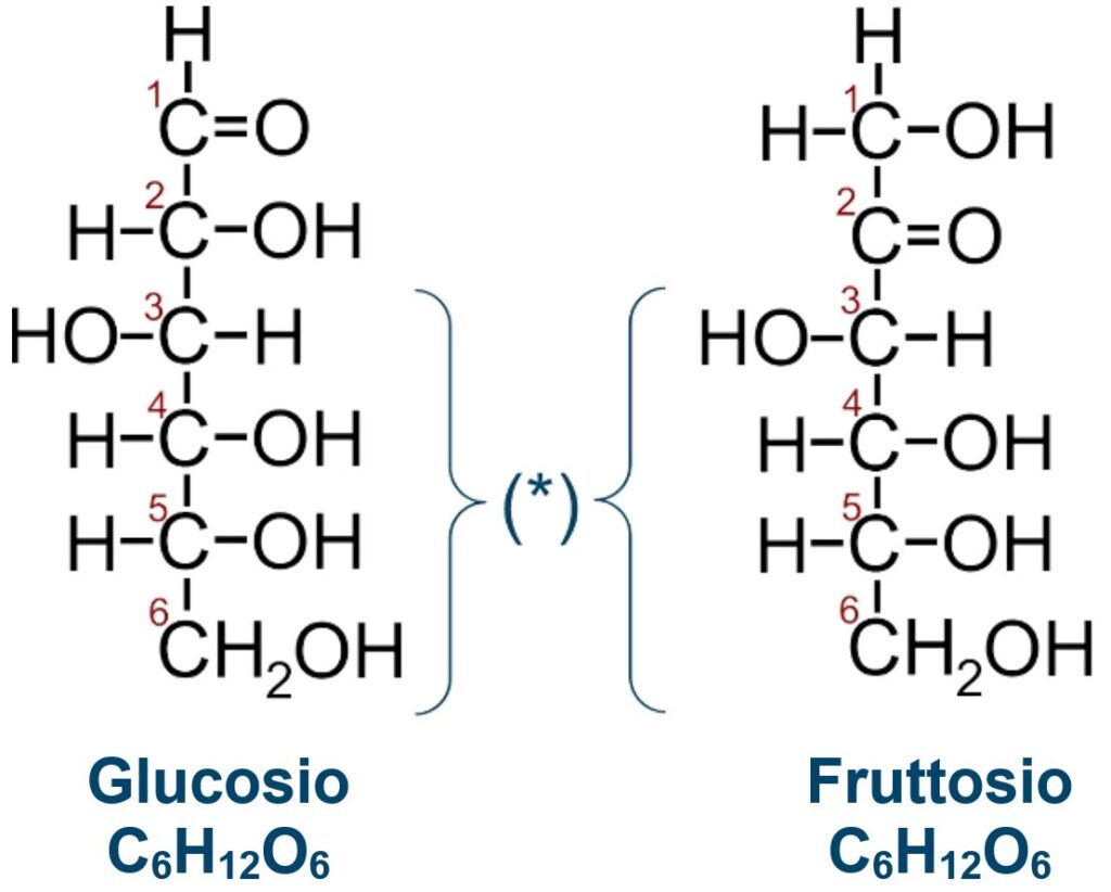 10.8 CARBOIDRATI · PiTest